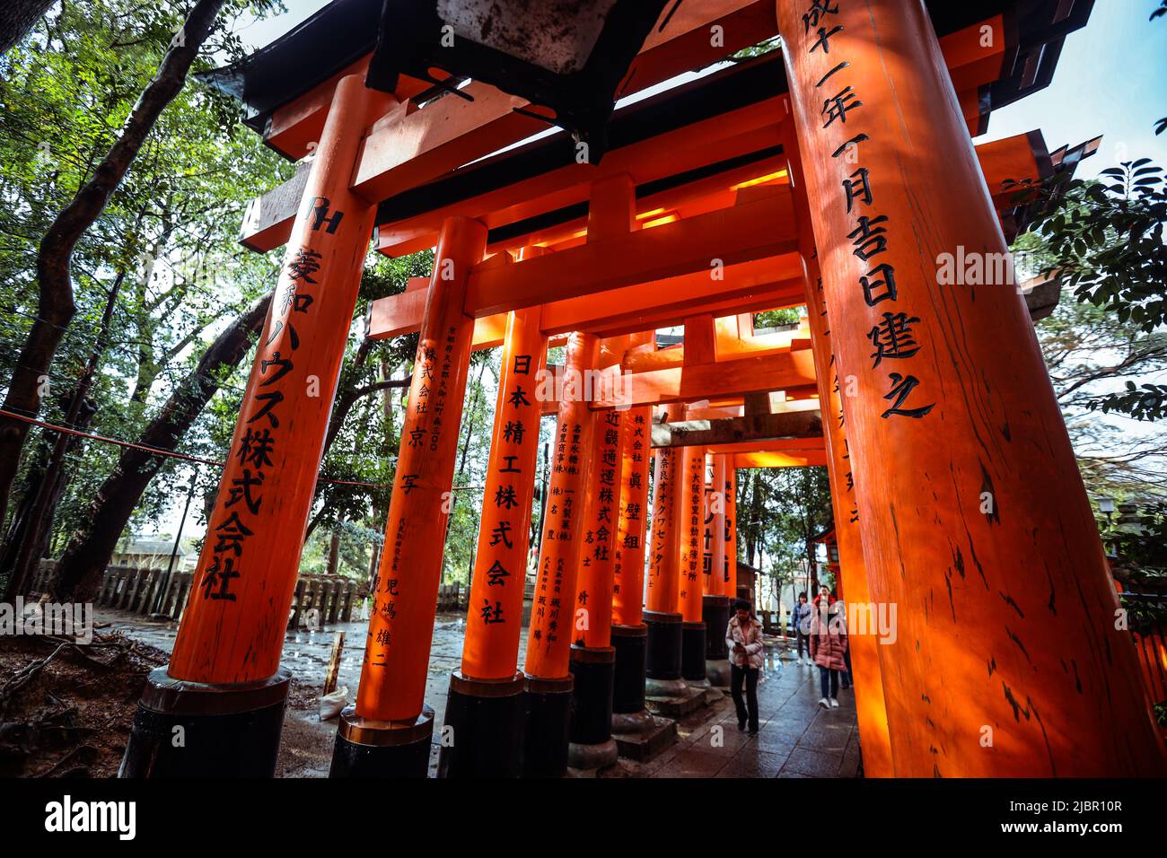 Way from the Thousands of Vermilion Great Torii Gates Stock Photo - Alamy
