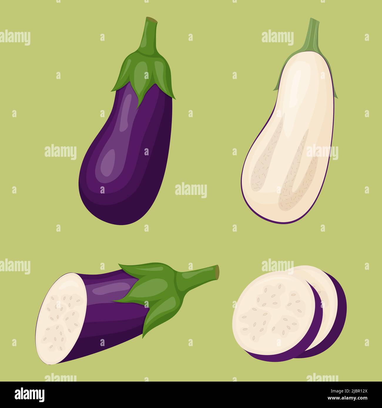 Set of eggplants isolated on white background. Flat vector illustration ...