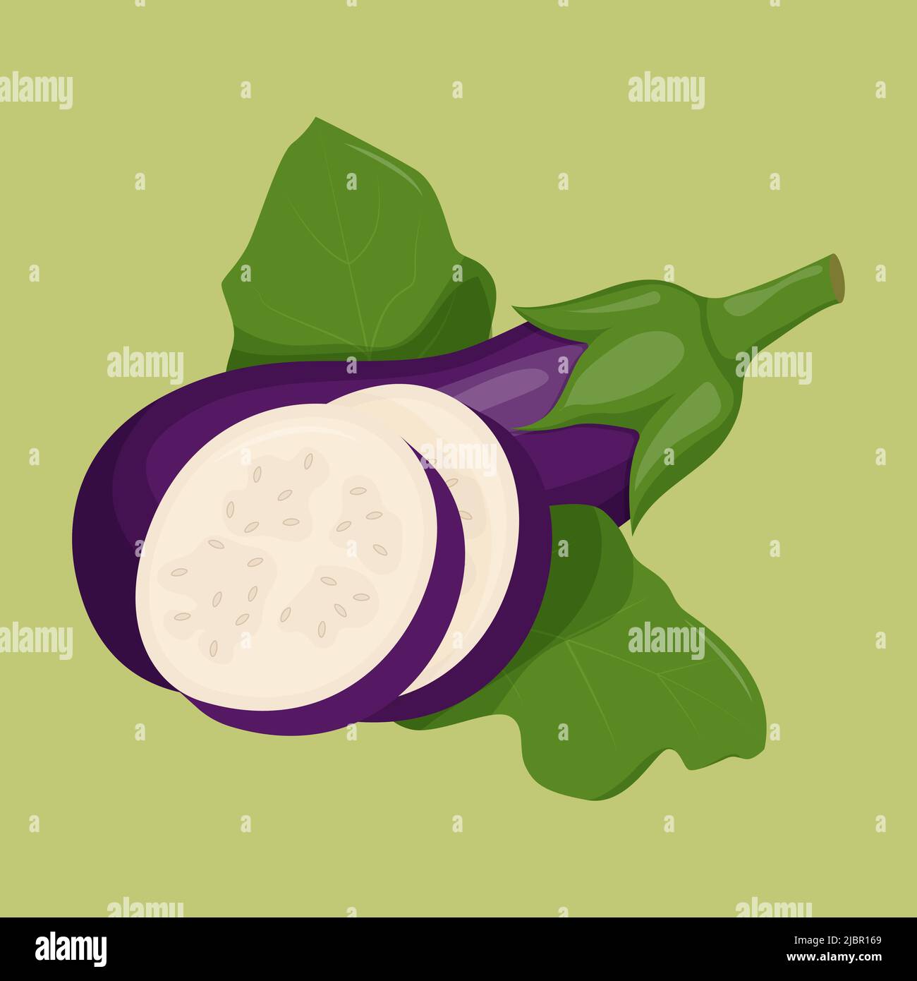 Whole eggplant isolated on background. Flat vector illustration Stock ...