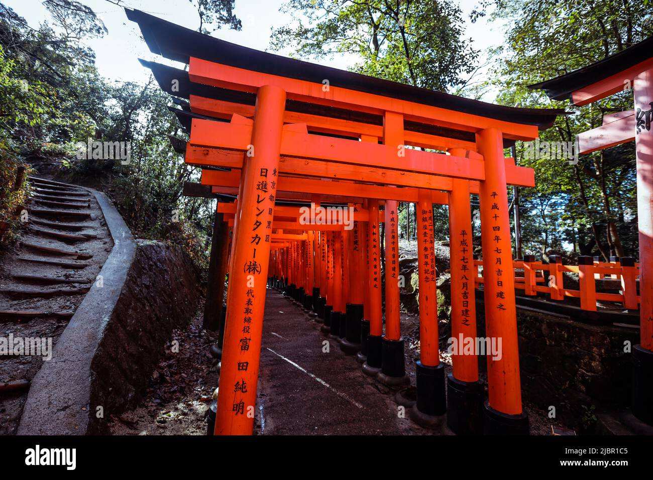 Way from the Thousands of Vermilion Great Torii Gates Stock Photo - Alamy