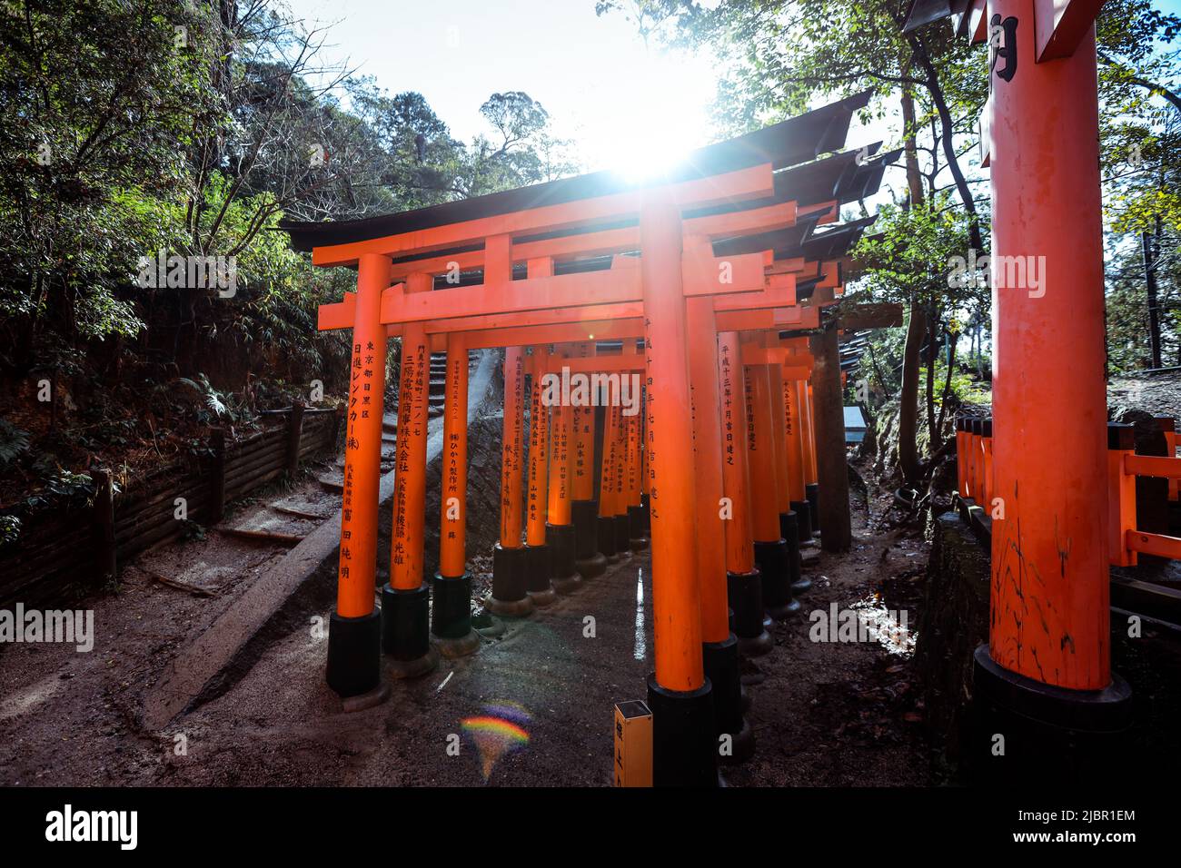 Way from the Thousands of Vermilion Great Torii Gates Stock Photo - Alamy