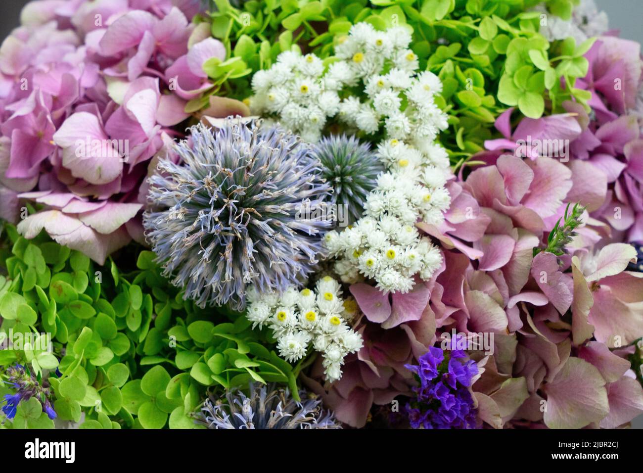 natural flowers background Stock Photo - Alamy