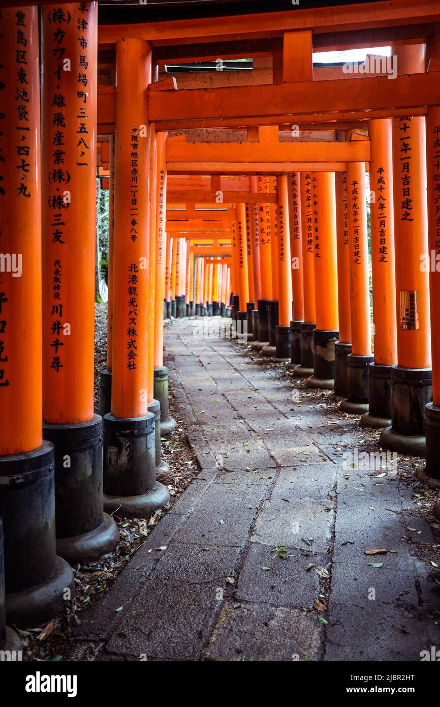 Way from the Thousands of Vermilion Great Torii Gates Stock Photo - Alamy