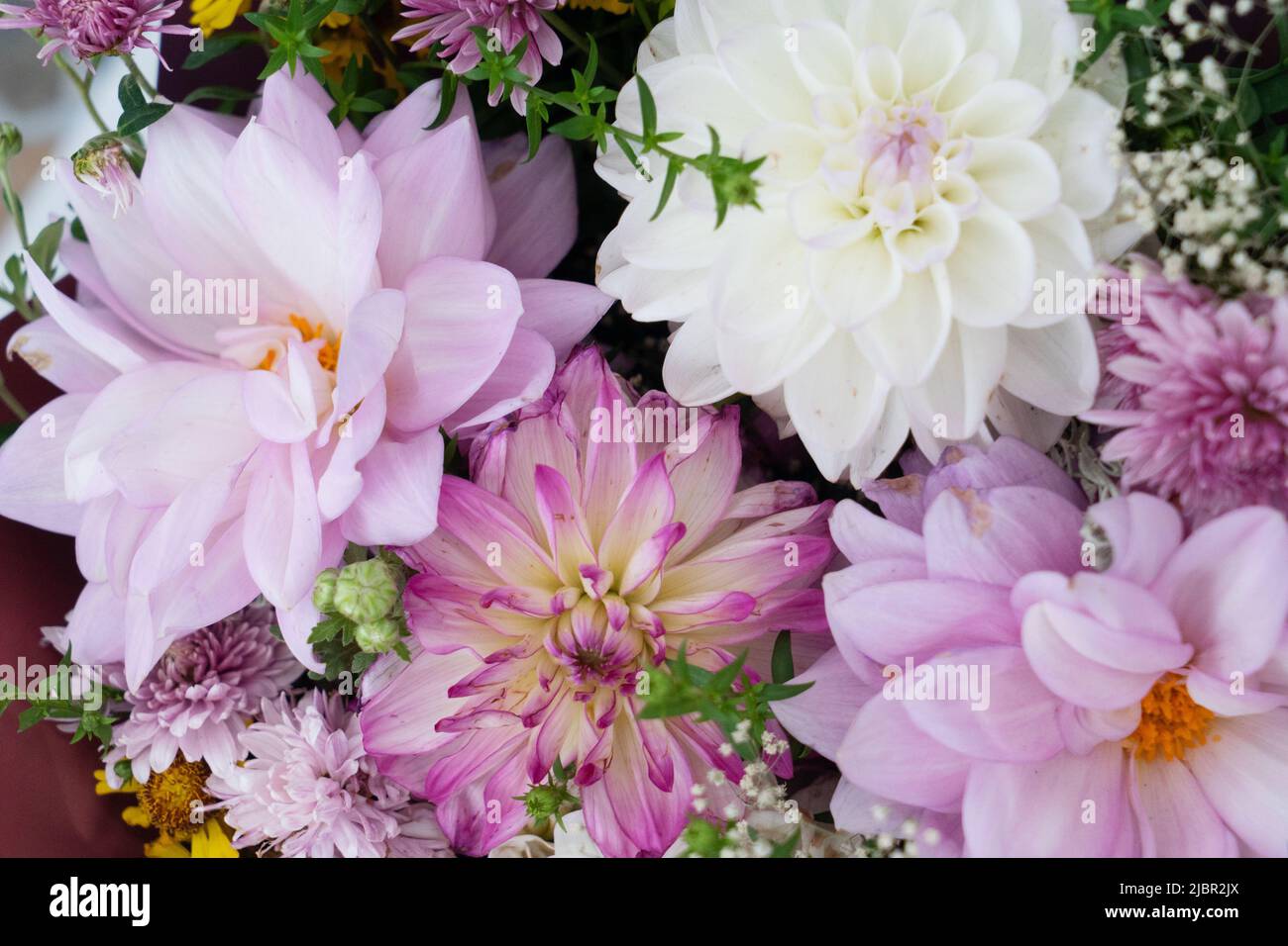 natural flowers background Stock Photo - Alamy