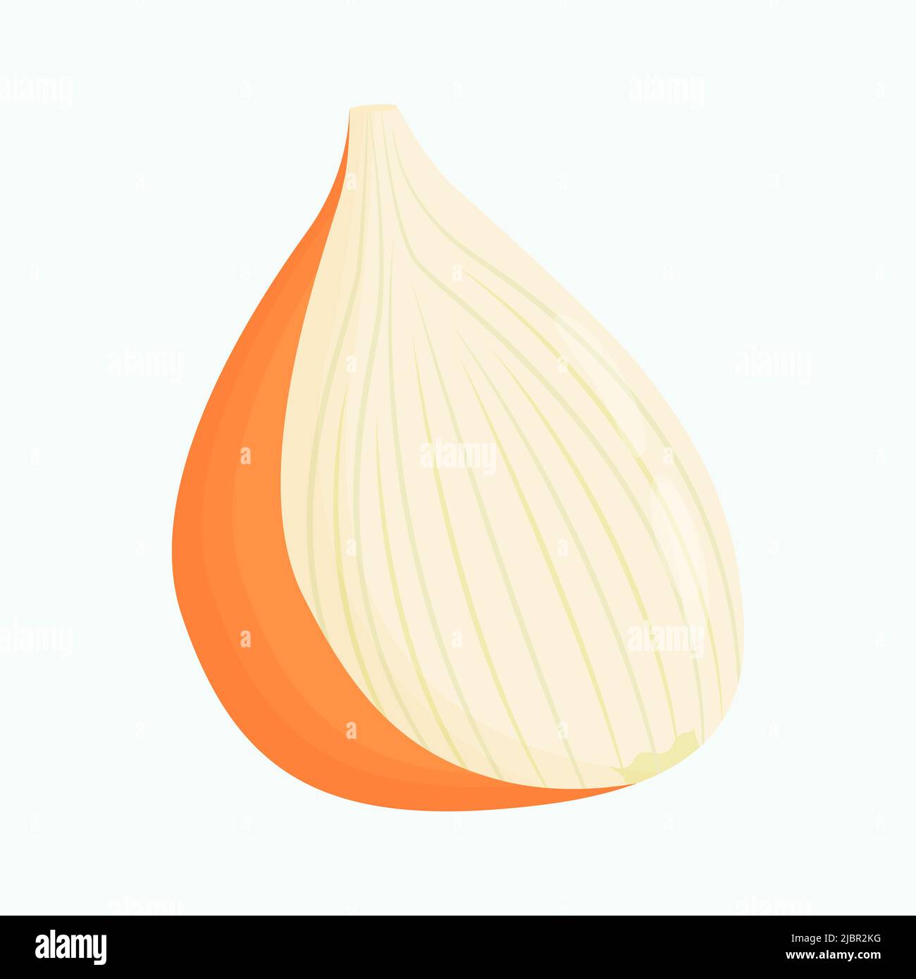 Half of onion isolated on background. Flat vector illustration Stock ...