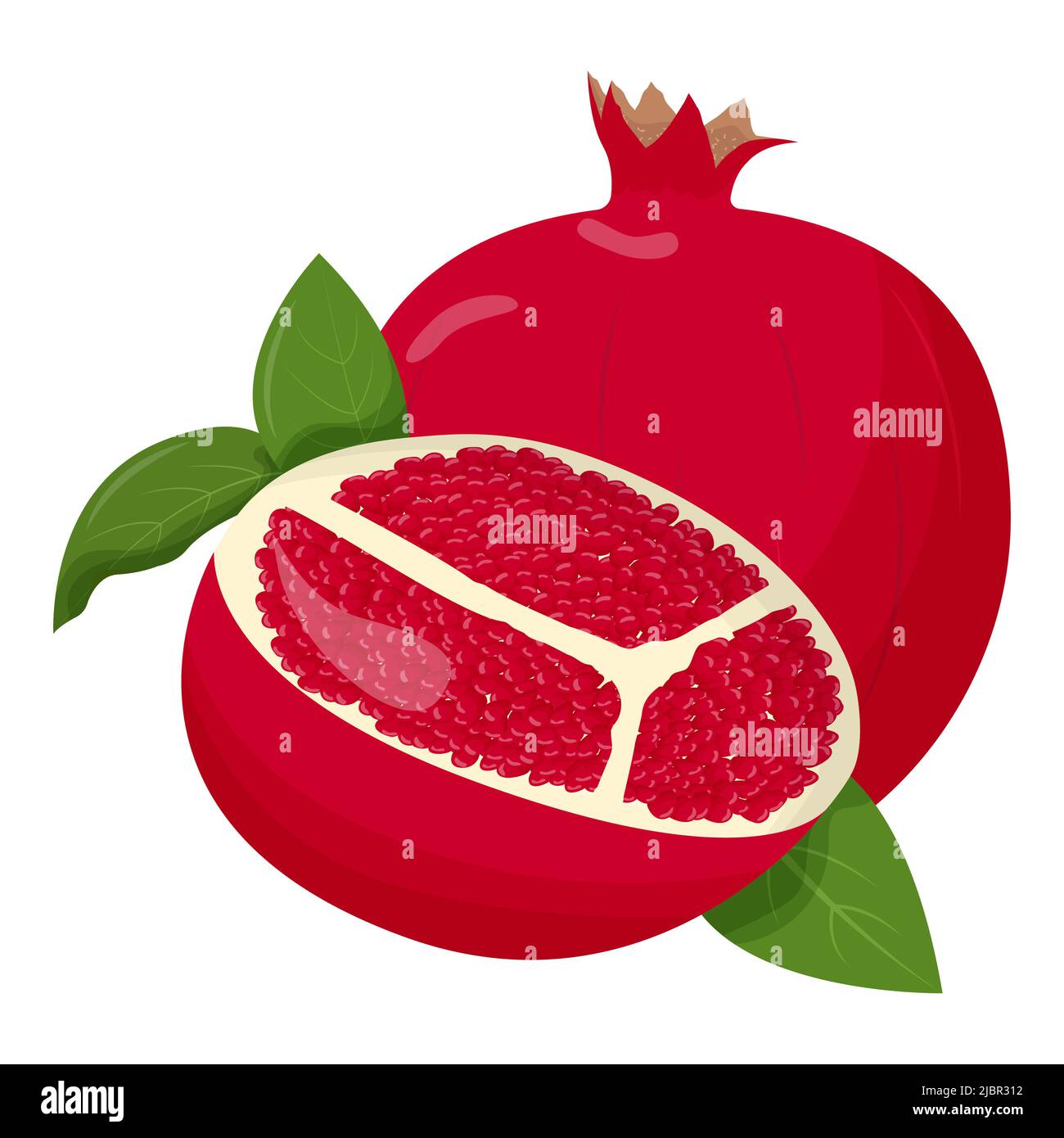 Whole pomegranate isolated on white background. Flat vector ...