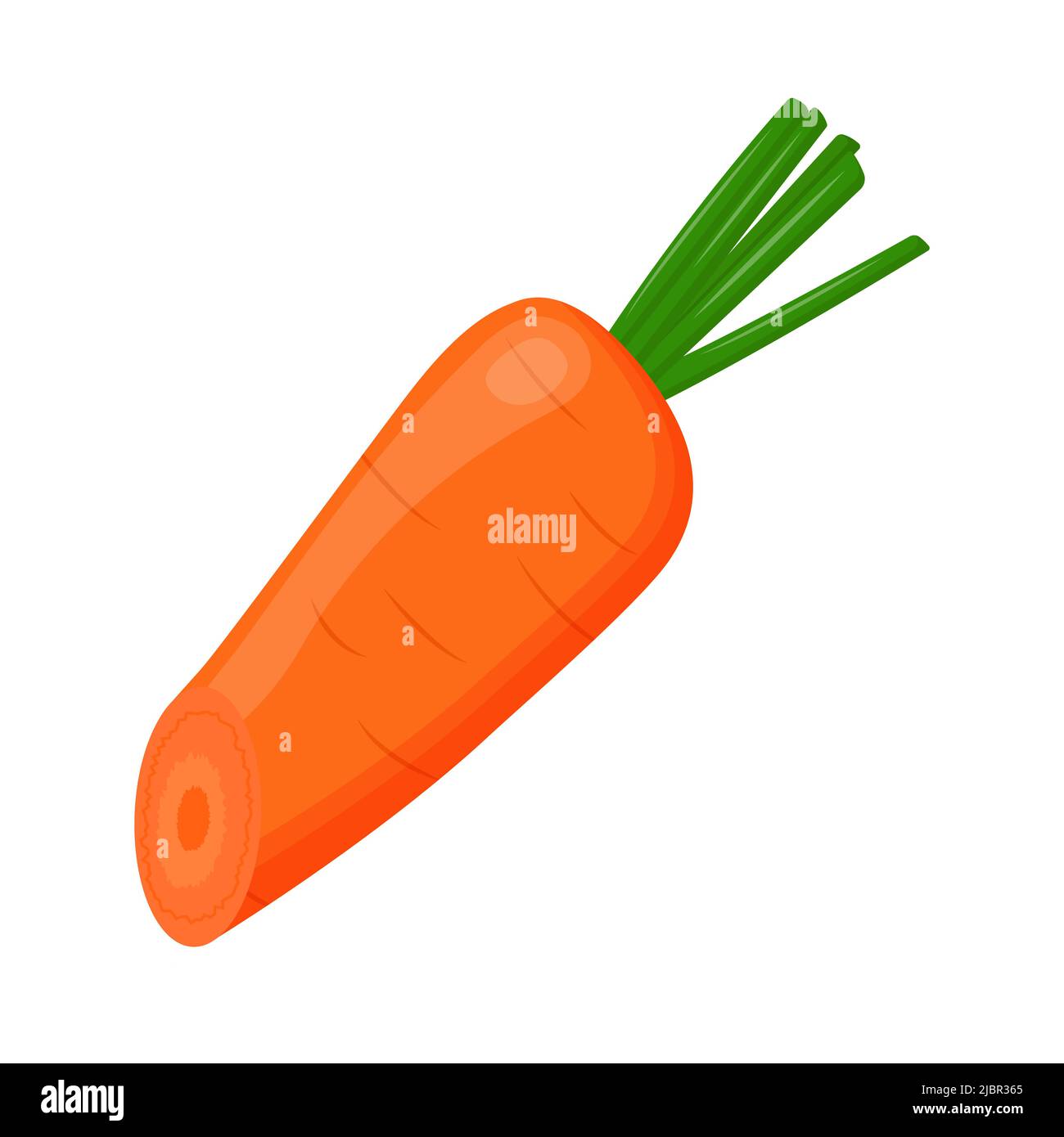Half of carrot isolated on background. Flat vector illustration Stock ...