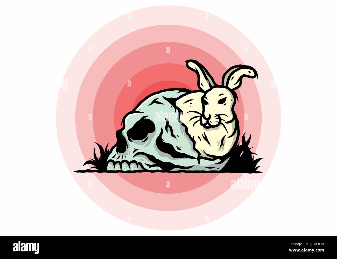 Hare skeleton Cut Out Stock Images & Pictures - Alamy