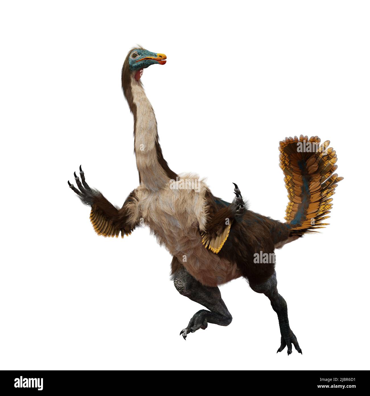 Gallimimus, feathered theropod dinosaur that lived during the Late ... Gallimimus, feathered theropod dinosaur that lived during the Late ...