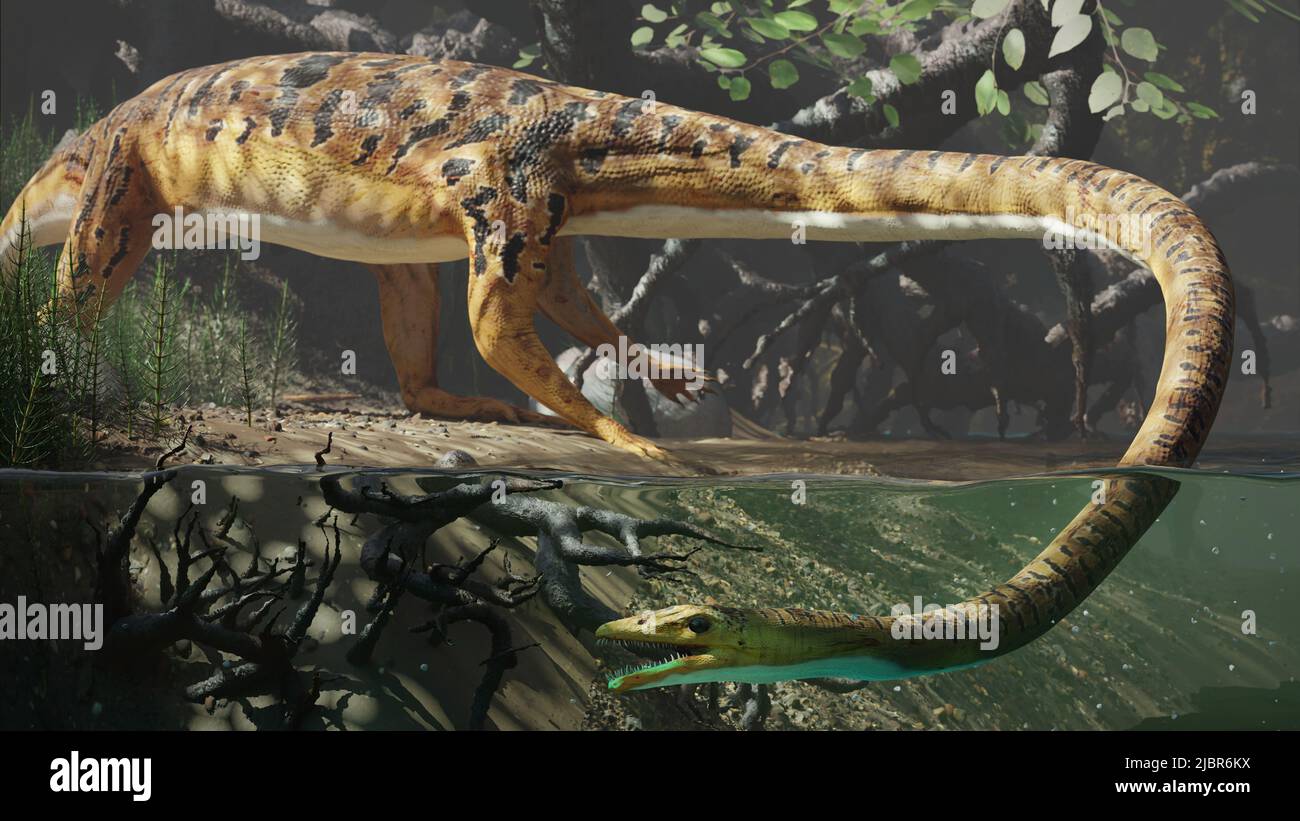 Tanystropheus, extinct reptile drinking at a waterhole Stock Photo - Alamy