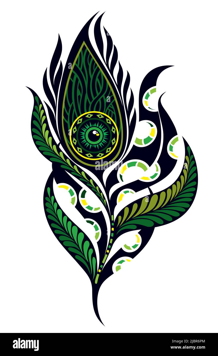 illustration of beautiful peacock feather on a white background Stock Vector Image & Art - Alamy