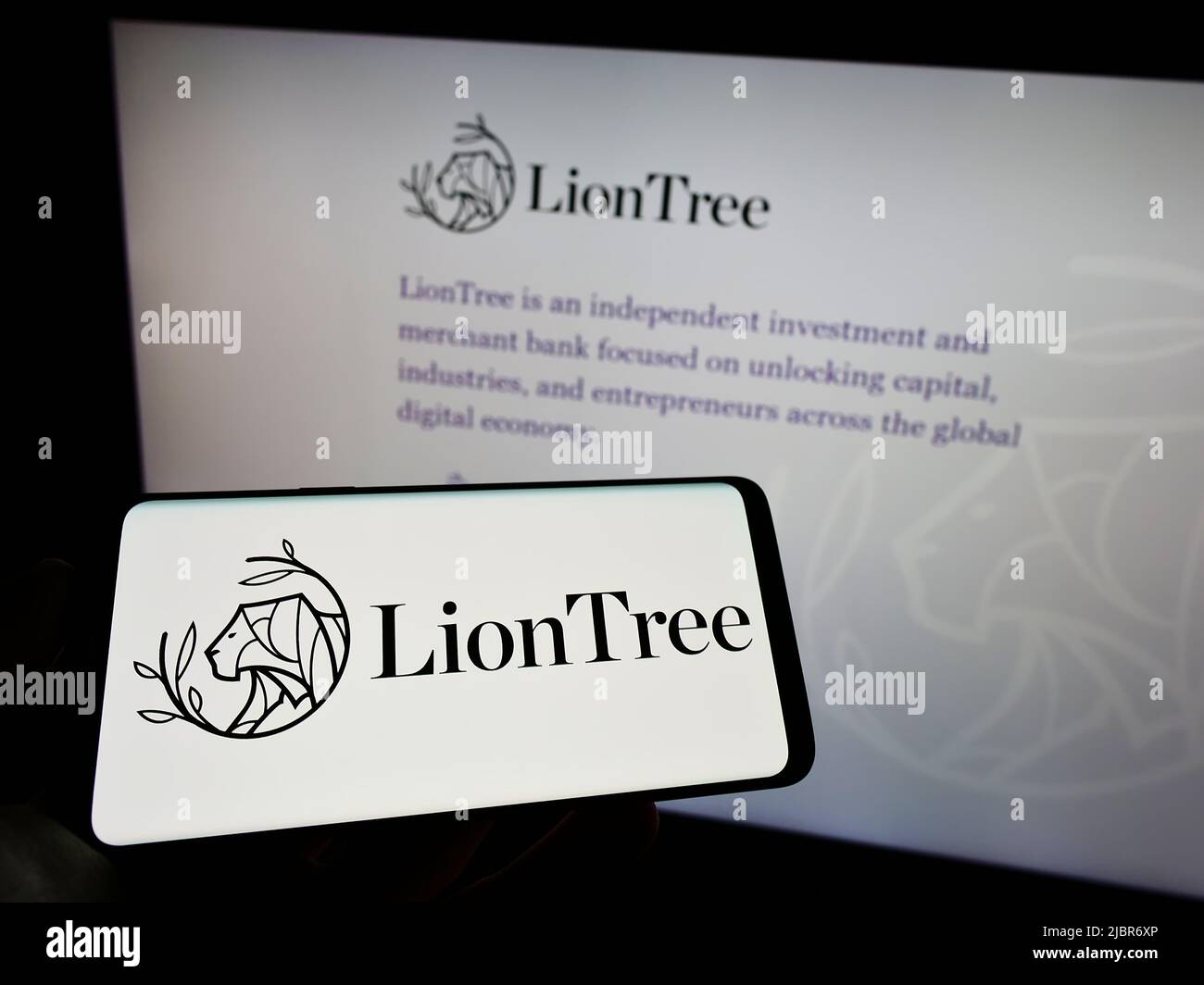 Liontree hi-res stock photography and images - Alamy