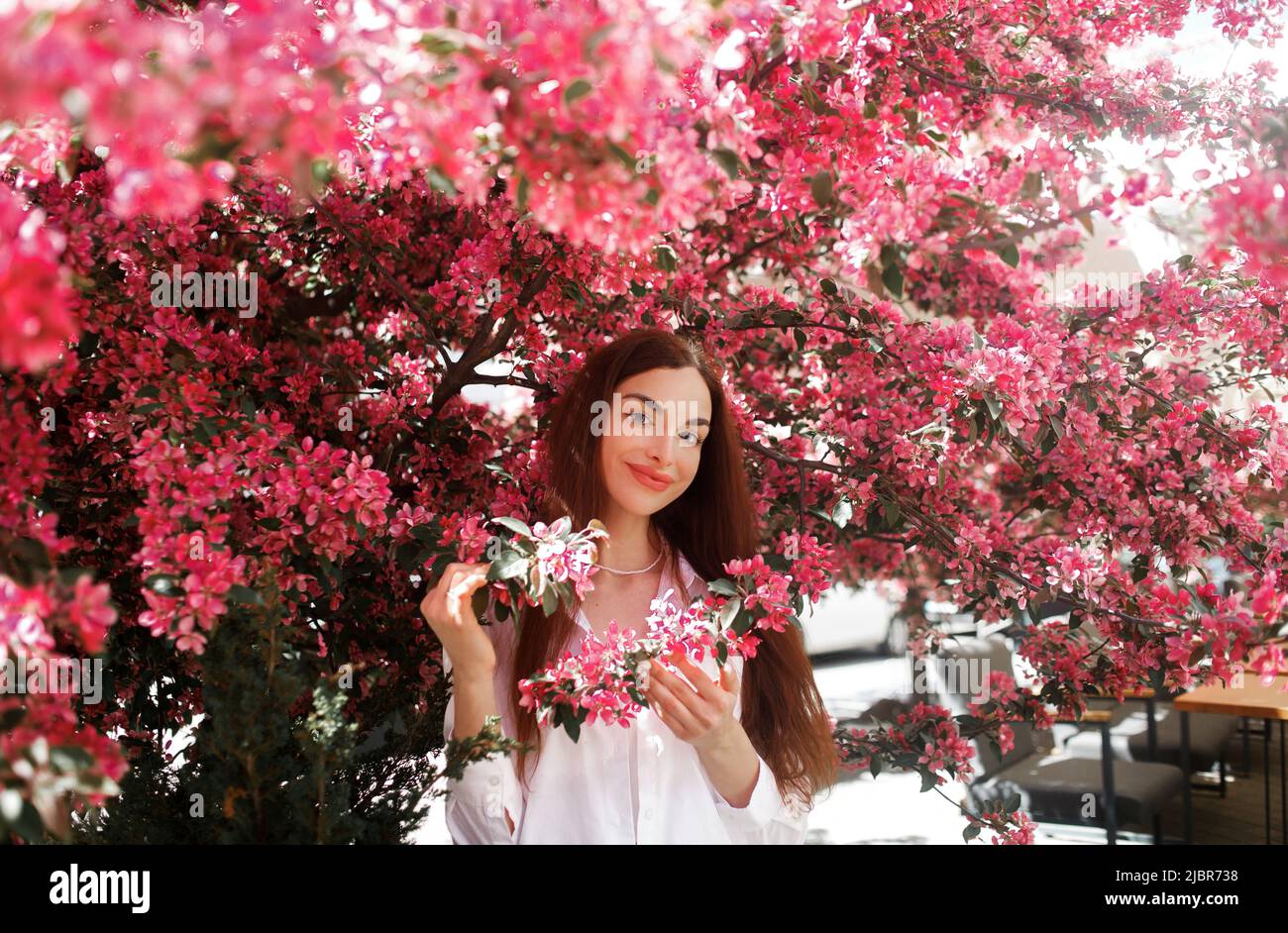 Beautiful elegant lady posing in pink spring blossom trees. Close up ...