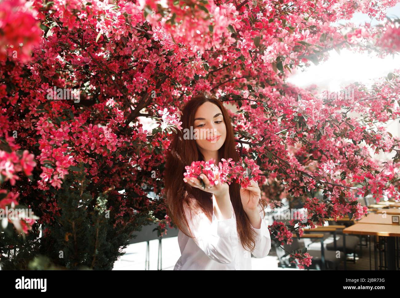 Beautiful elegant lady posing in pink spring blossom trees. Close up ...