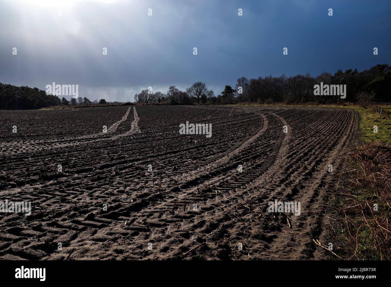 Farmland Sutton Heath Suffolk UK Stock Photo - Alamy