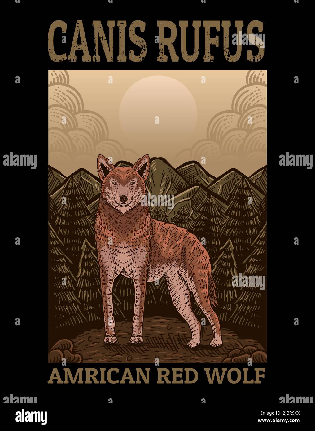 Native american wolf hi-res stock photography and images - Alamy