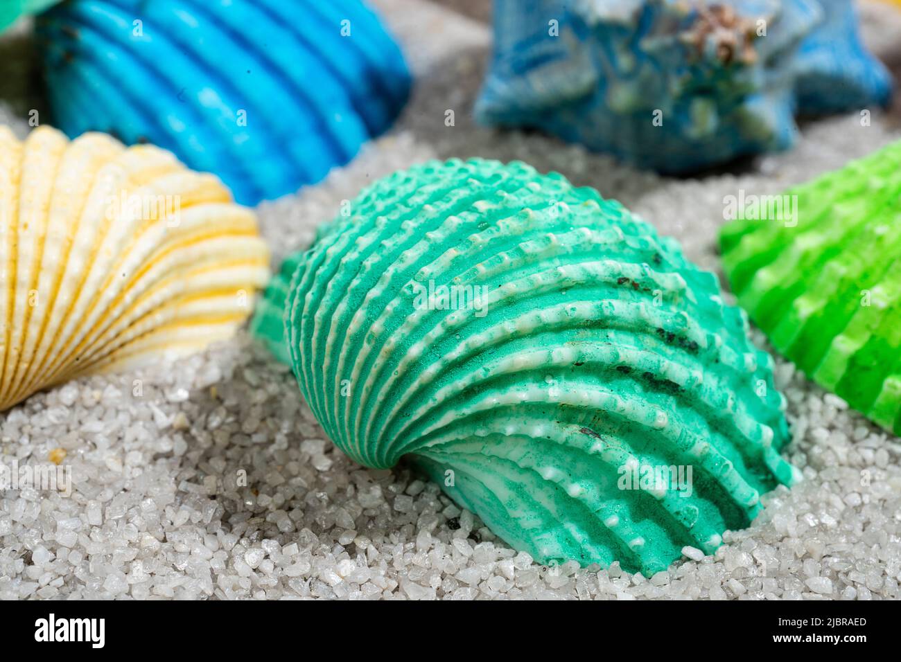 some colorful shells on the beach Stock Photo - Alamy