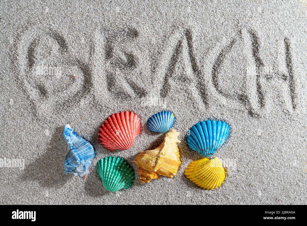 some colorful shells on the beach Stock Photo - Alamy