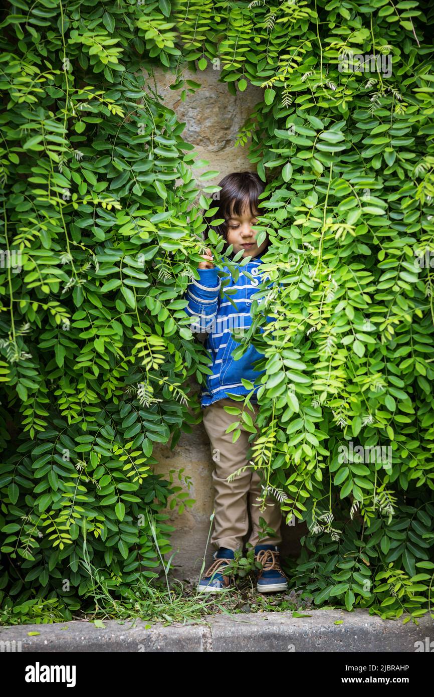 Little child hiding surraunded green leaves Stock Photo - Alamy
