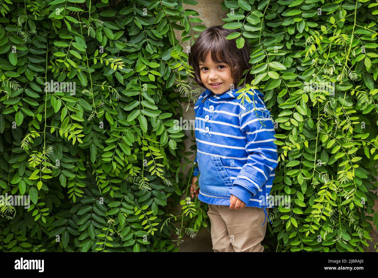 Little child hiding surraunded green leaves Stock Photo - Alamy
