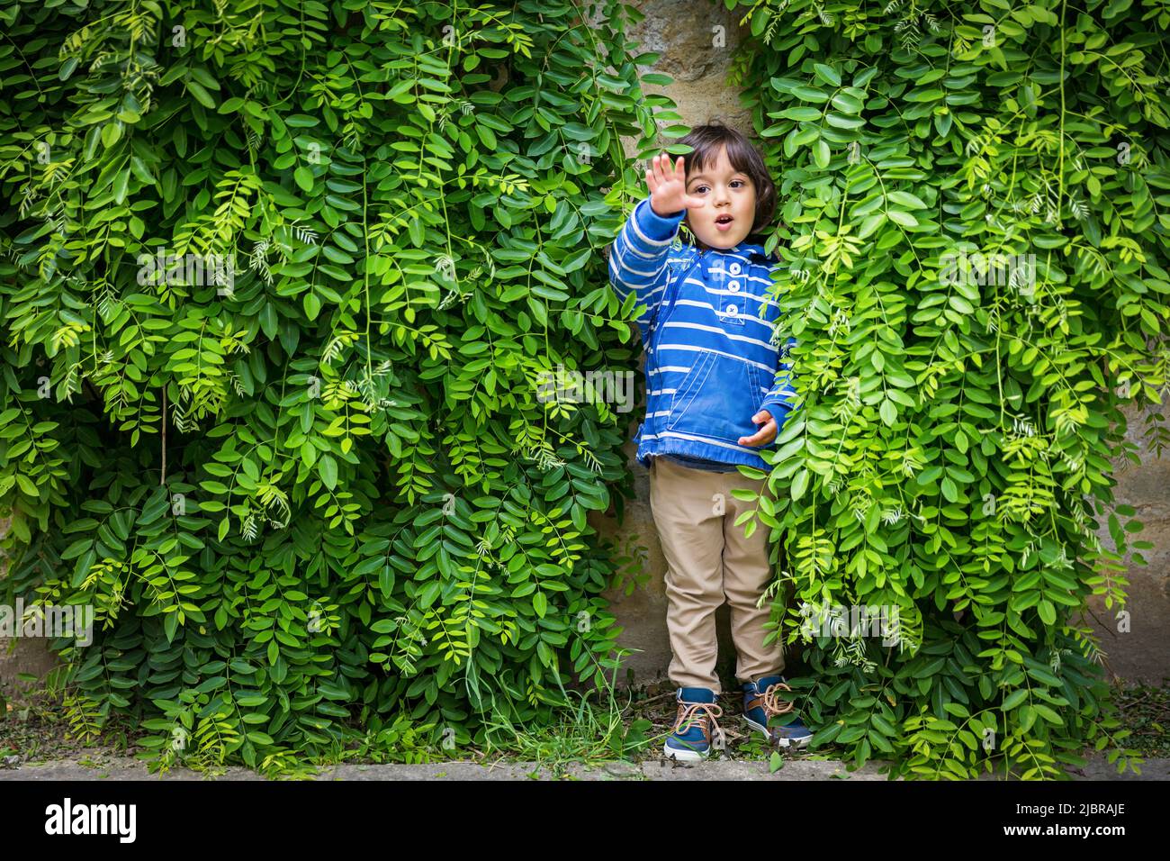 Little child hiding surraunded green leaves Stock Photo - Alamy