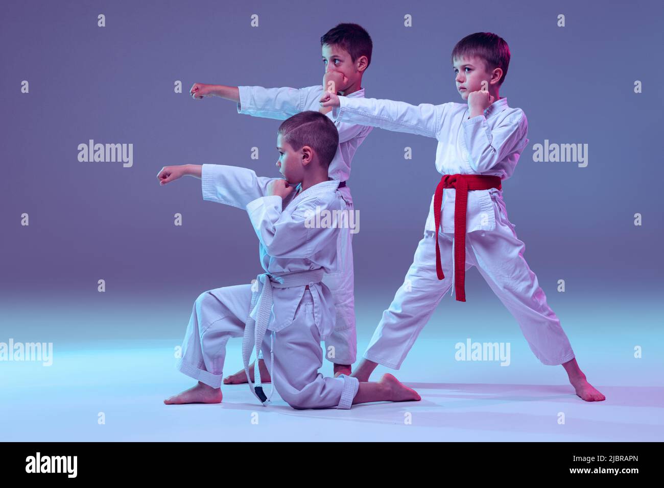 Group of kids, different boys, taekwondo athletes in white doboks in ...