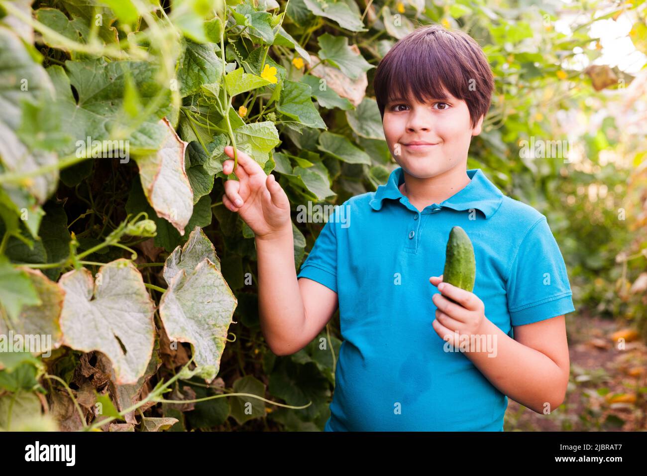 Positive little boy standing and holding cucumber in sunny garden Stock ...