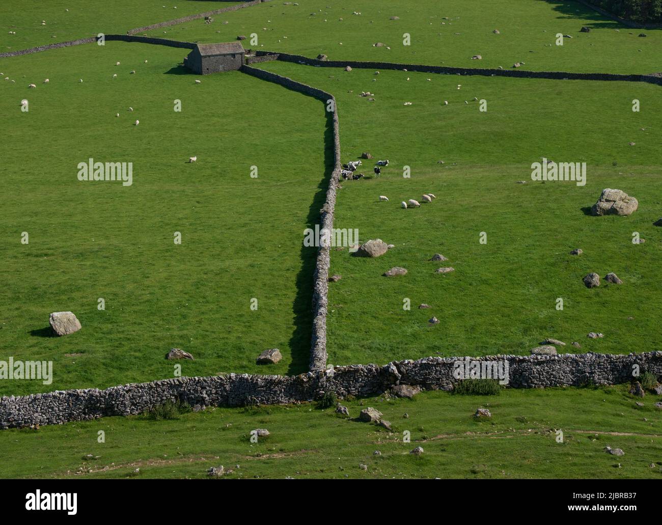 Field patterns at Norber near Austwick in The Yorkshire dales Stock ...