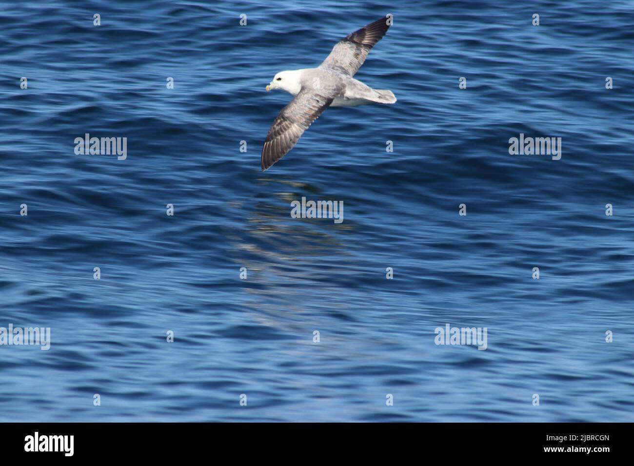 Flying over rock mountain beach hi-res stock photography and images - Alamy