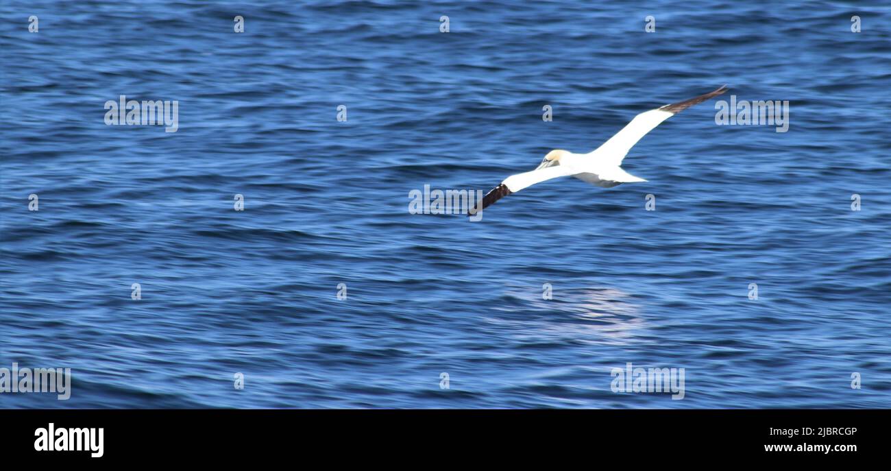 Flying over rock mountain beach hi-res stock photography and images - Alamy
