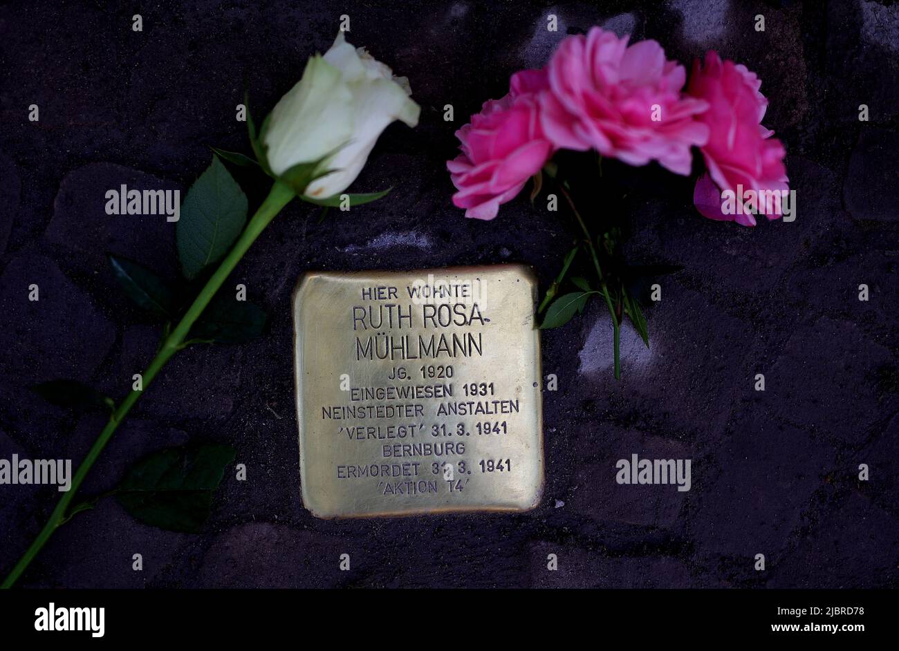 Magdeburg, Germany. 08th June, 2022. A newly laid Stolperstein in ...