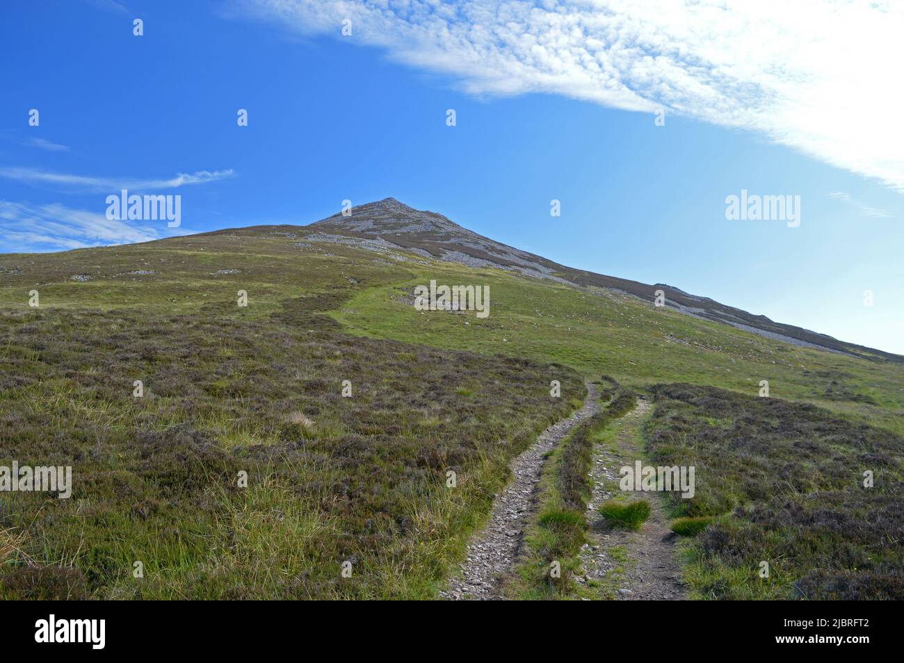 Garn Ganol path to summit, Llyn Peninsula, Wales Stock Photo - Alamy