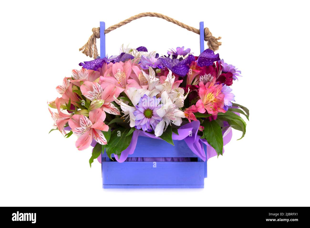 Blue wooden box full of flowers isolated on a white background Stock ...
