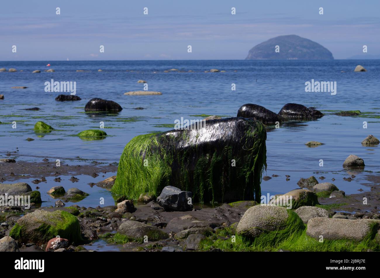 Exposed seaweed covered rocks at the edge of Girvan Beach, looking out ...
