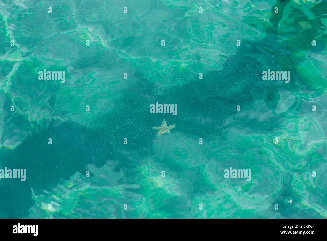 Abstract Real beauty nature background. Ocean bokeh Sea ripple wave ...