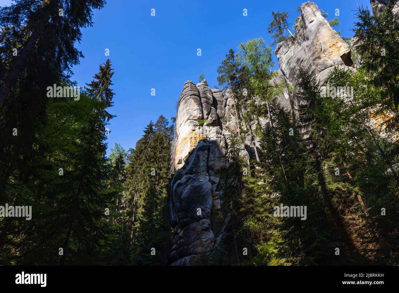 Sandstone towers and forest of Adrspach Rocks, Czech Republic Stock ...