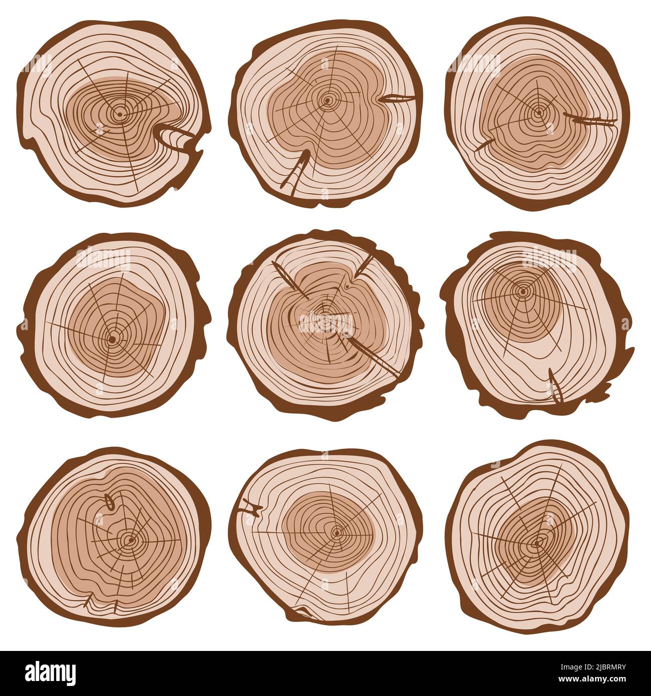 Cut of tree trunk color set, round cut of logs collection, wavy rings ...