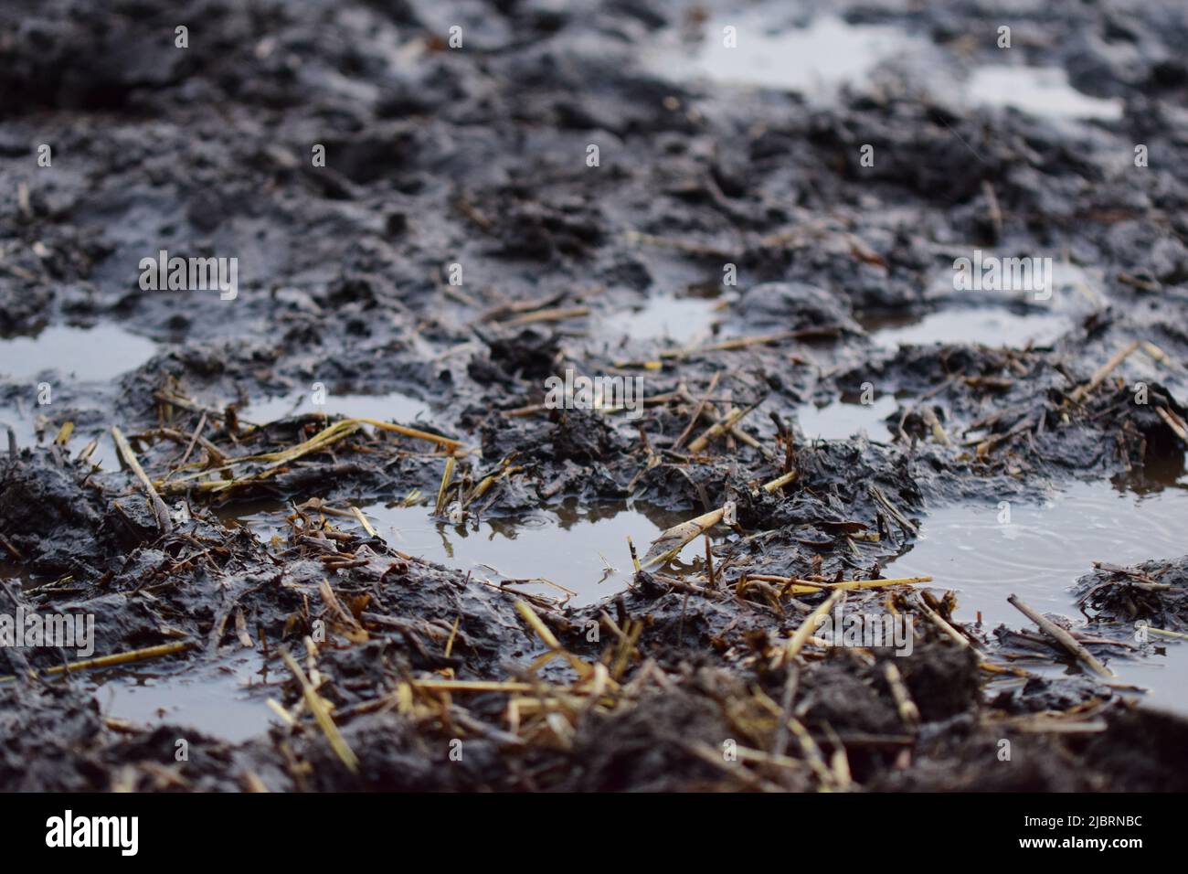 Puddles on ground hi-res stock photography and images - Alamy