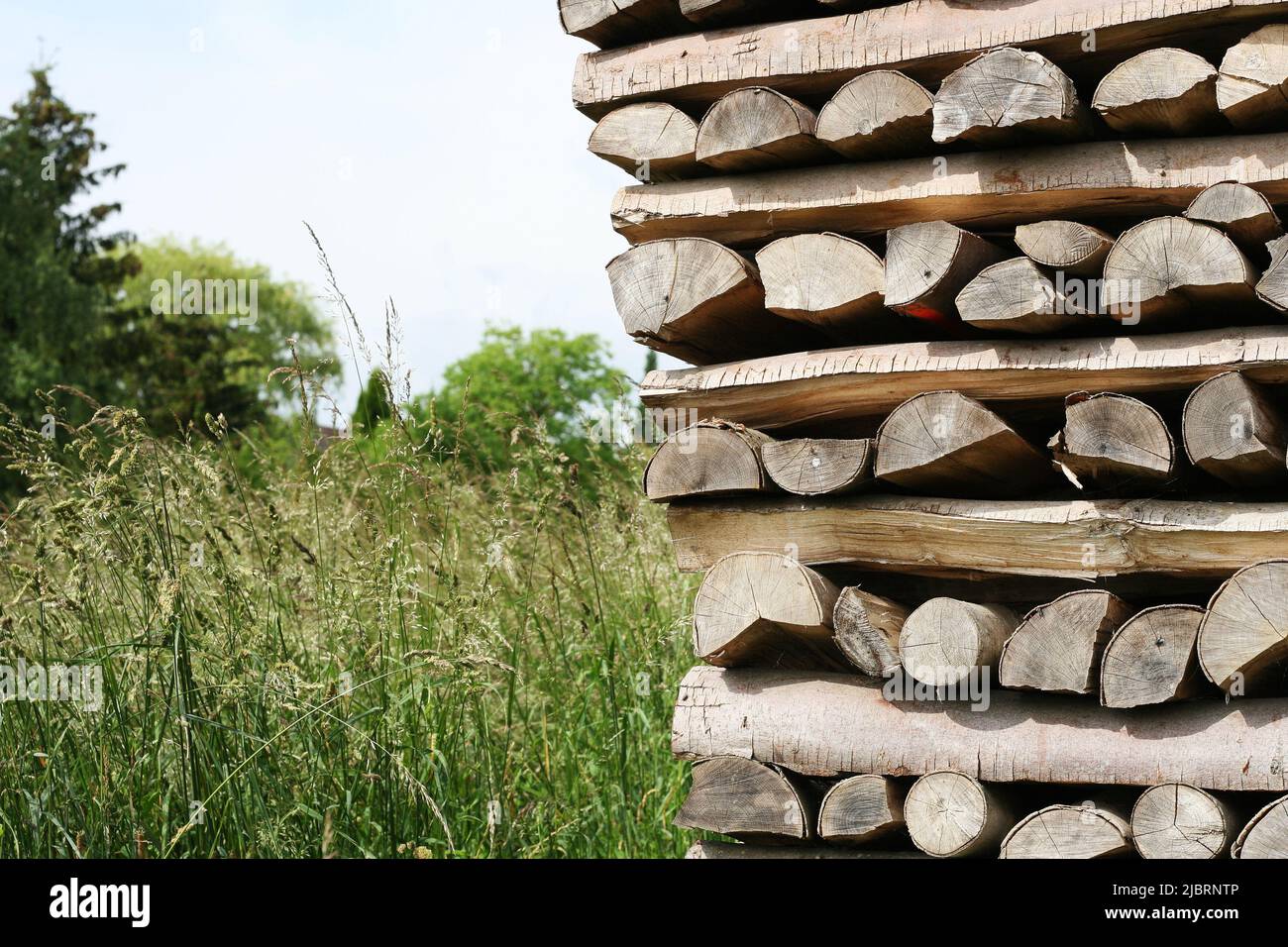 At a woodpile hi-res stock photography and images - Alamy