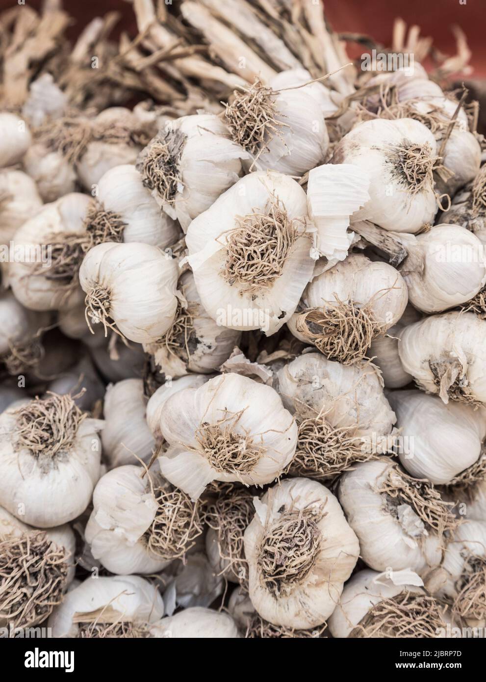 closeup pile of garlic as a background Stock Photo - Alamy