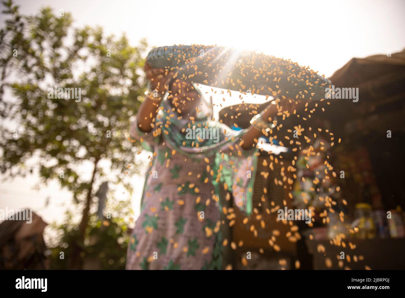 Wind winnowing of grain hi-res stock photography and images - Alamy