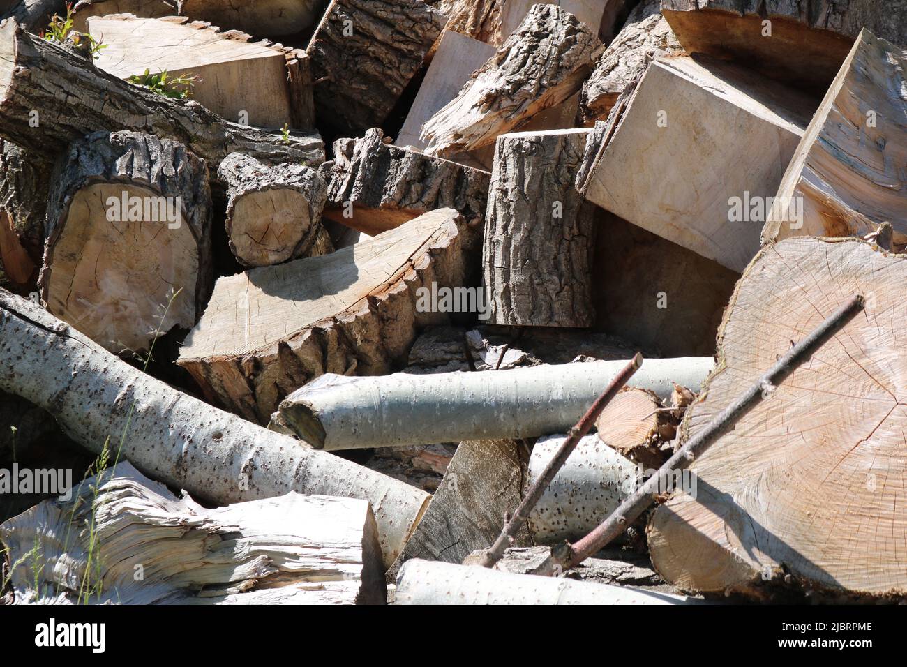 Pile of chopped logs Stock Photo - Alamy