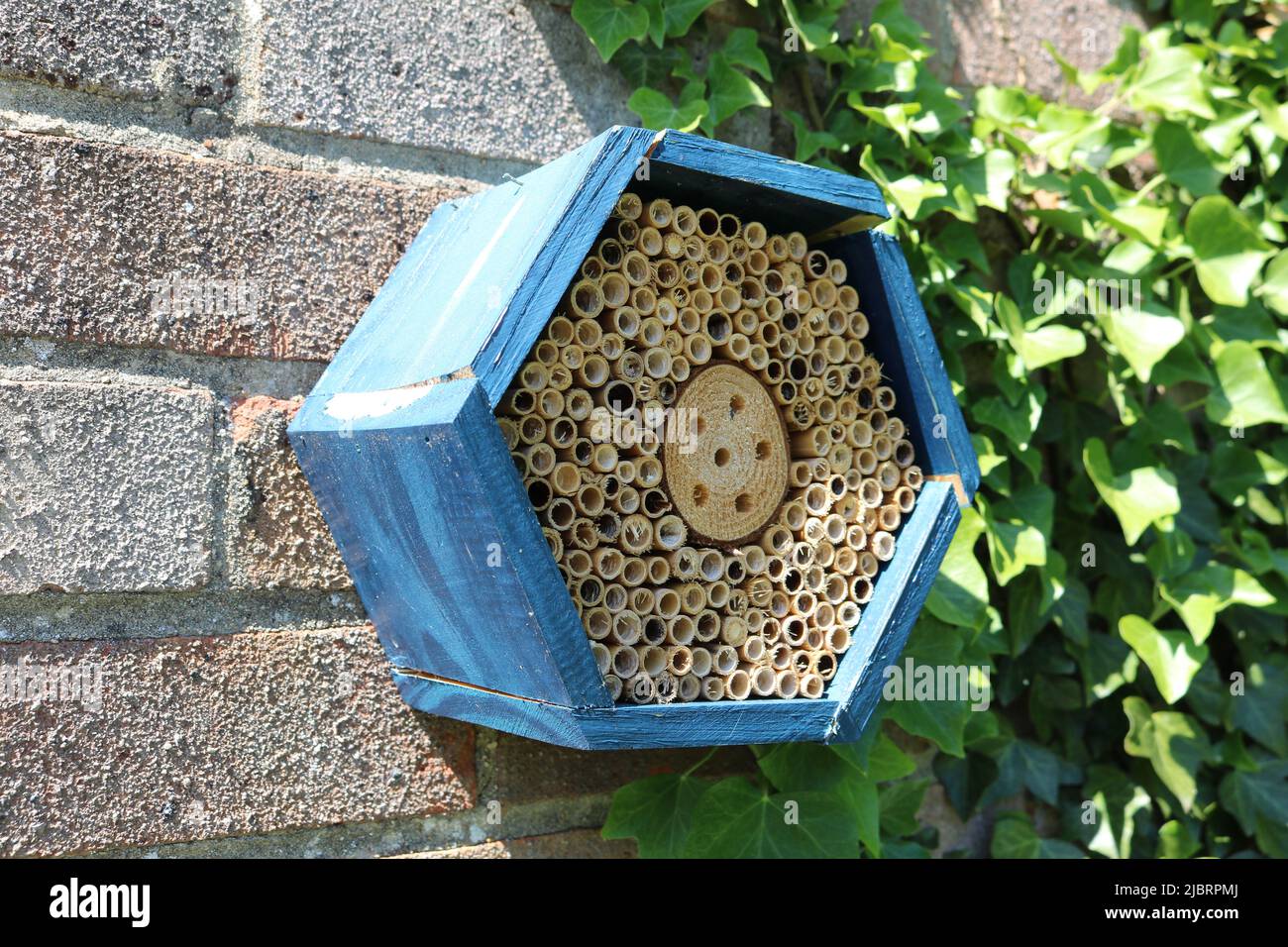 Wooden bug hotel / insect house on wall Stock Photo - Alamy