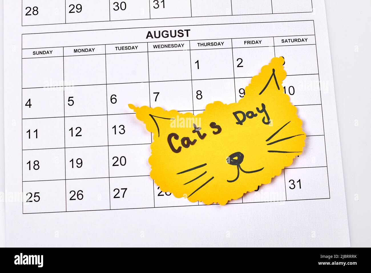 International cat day on august 8th concept. August calendar and drawn ...
