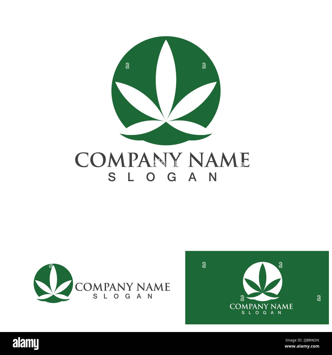 Canabis leaf logo vector illustration icon design Stock Vector Image ...