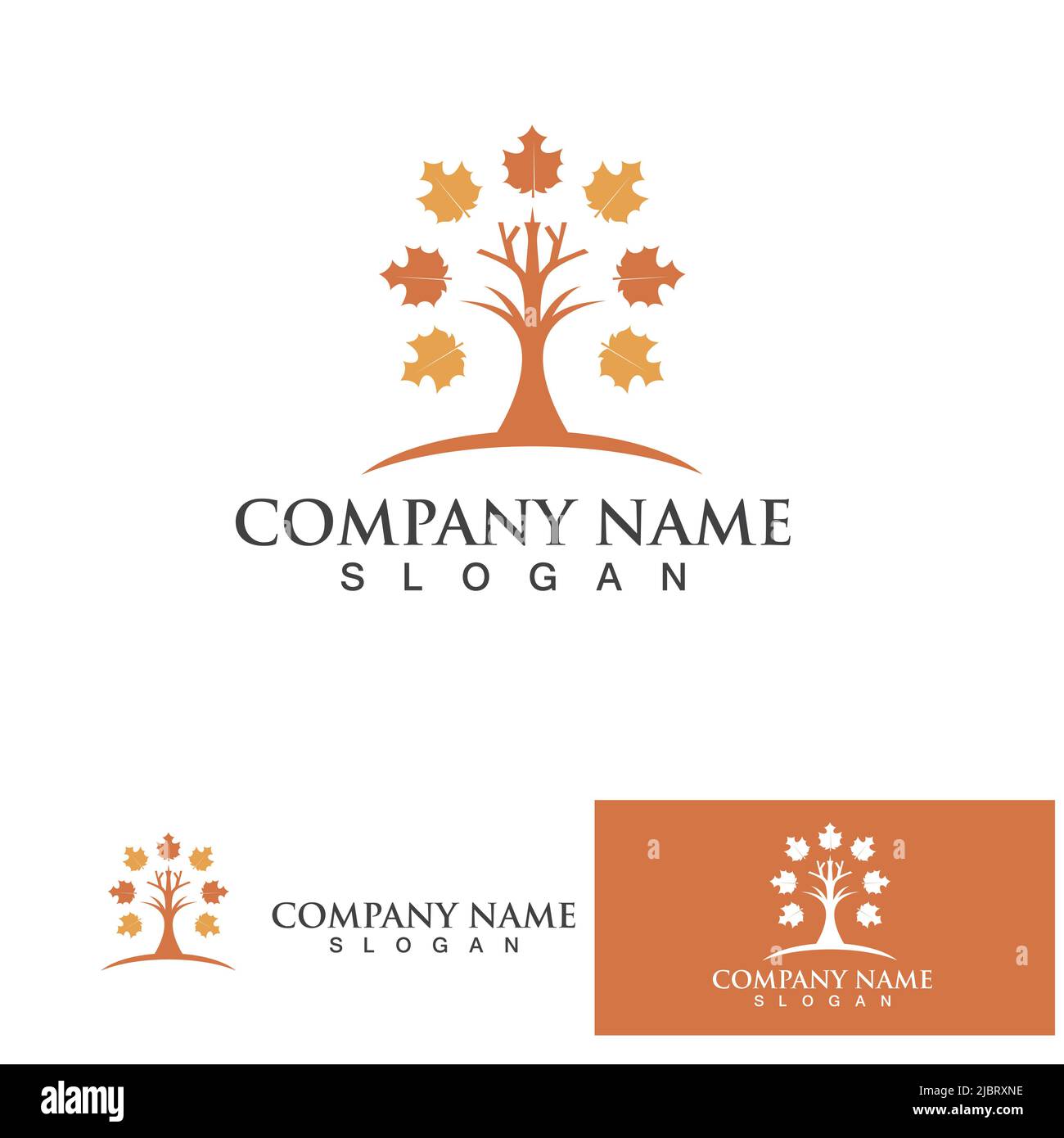 Maple leaf vector illustration design template Stock Vector Image & Art ...