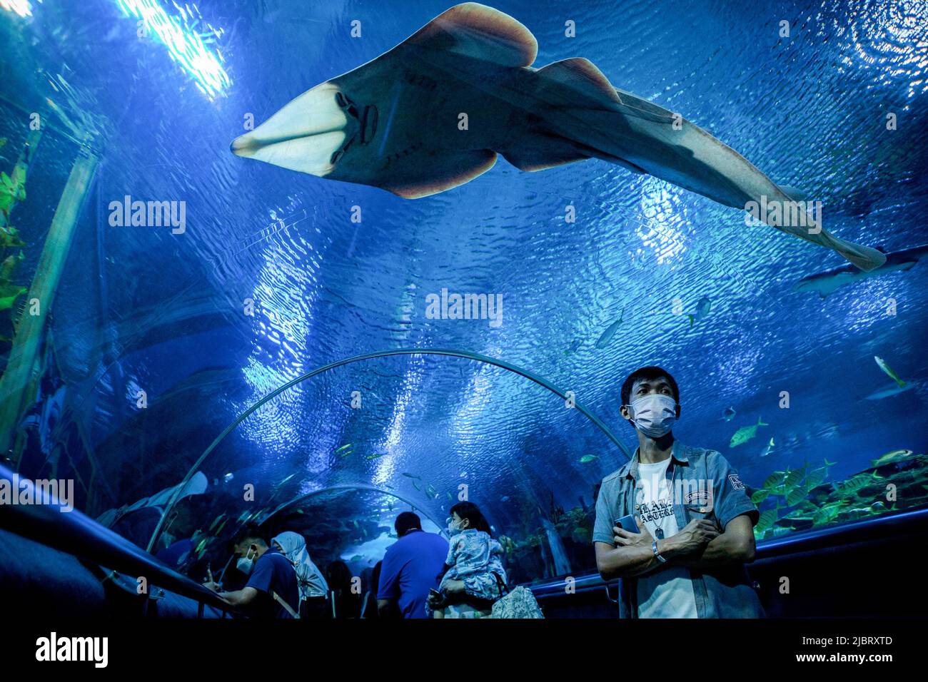 Persekutuan, Malaysia - 8 Jun 2022, Visitors to Aquaria KLCC enjoy the ...