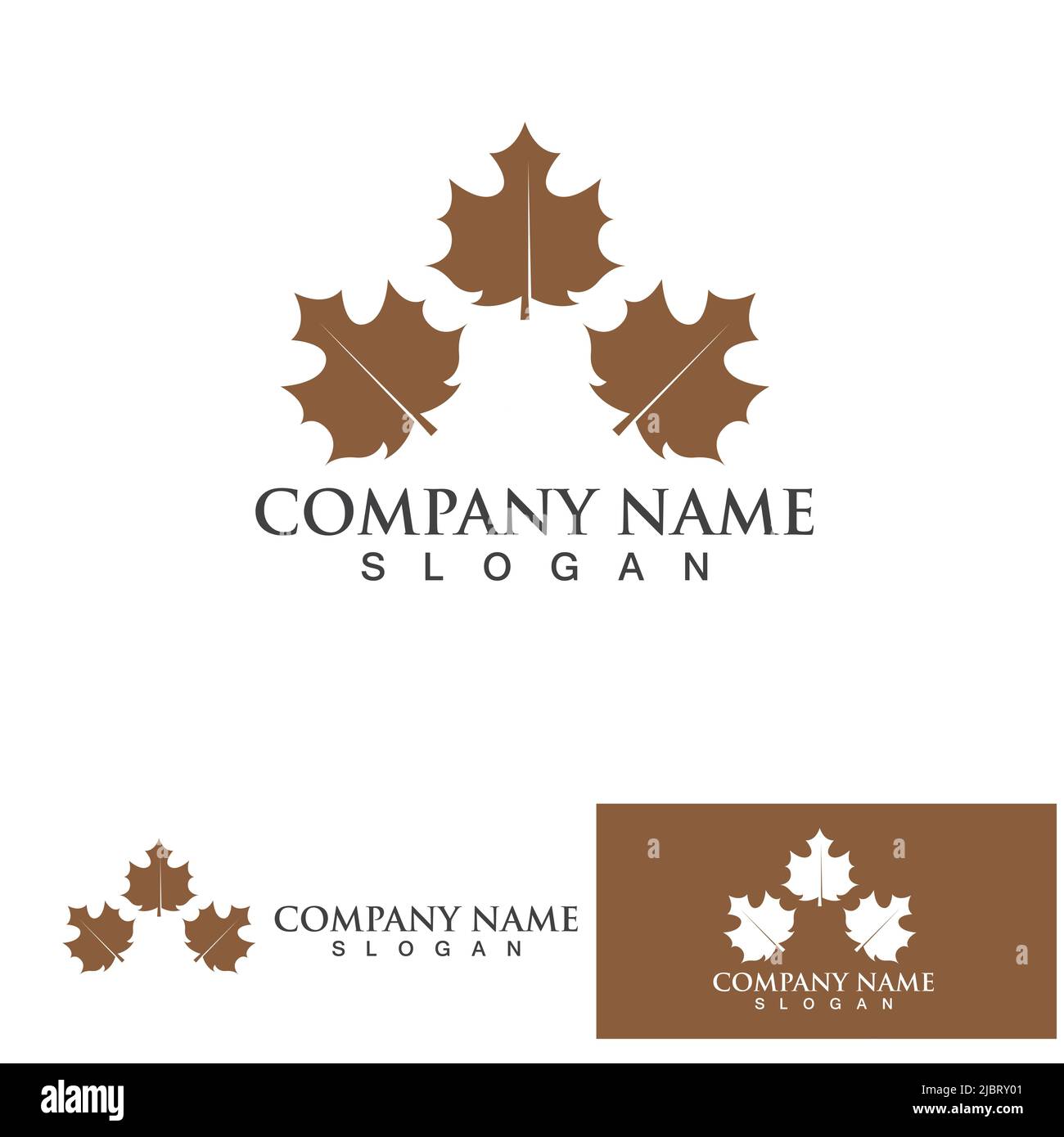 Maple leaf vector illustration design template Stock Vector Image & Art ...