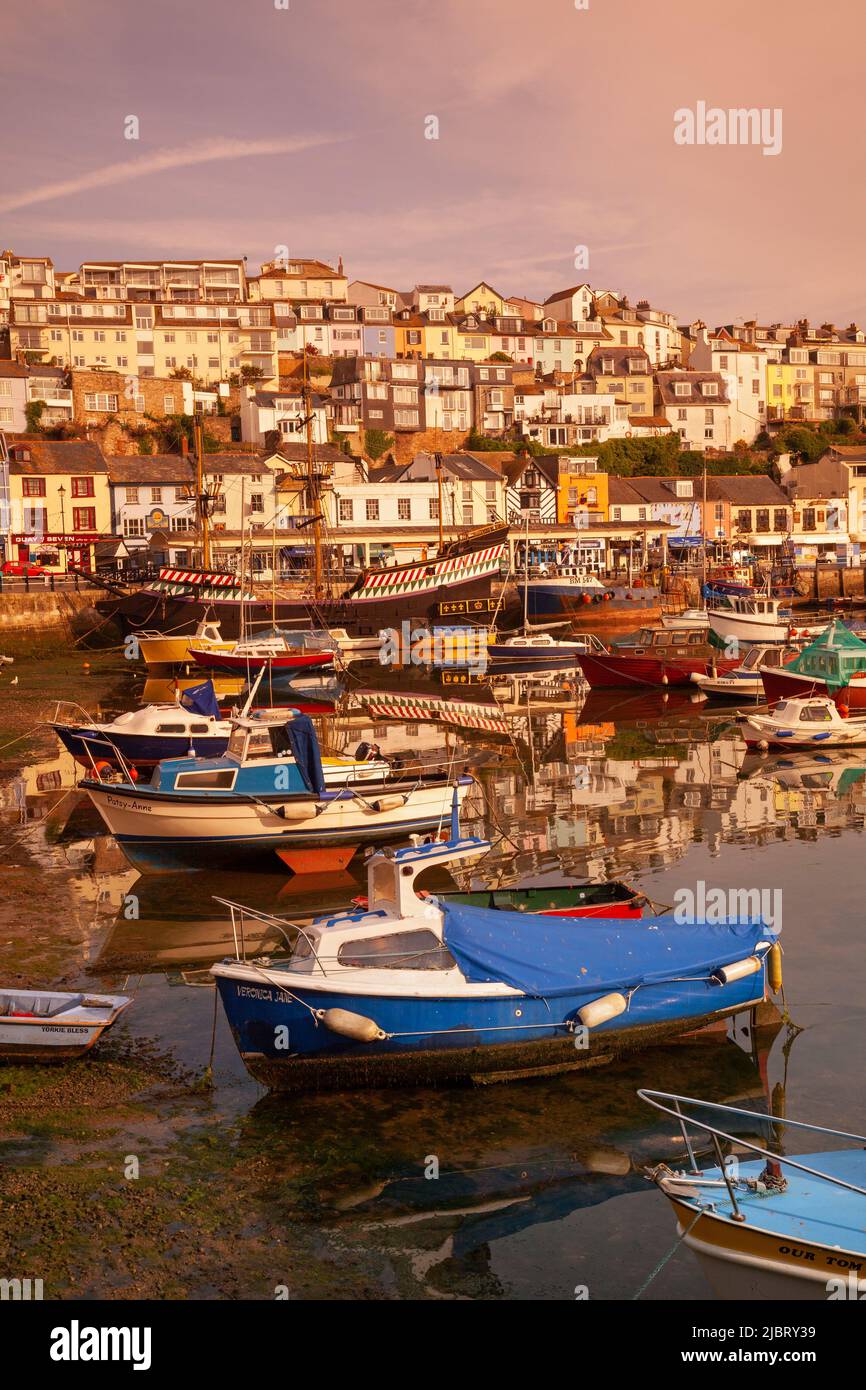 UK, England, Devon, Torbay, Brixham Harbour with The Quay and the ...