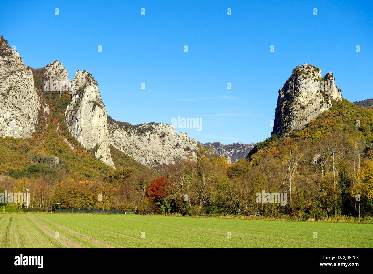 Forest of saou hi-res stock photography and images - Alamy